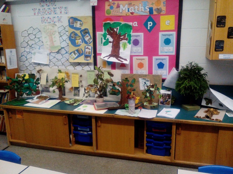 Year 3 home projects - St Mary's Church of England School St Mary's ...