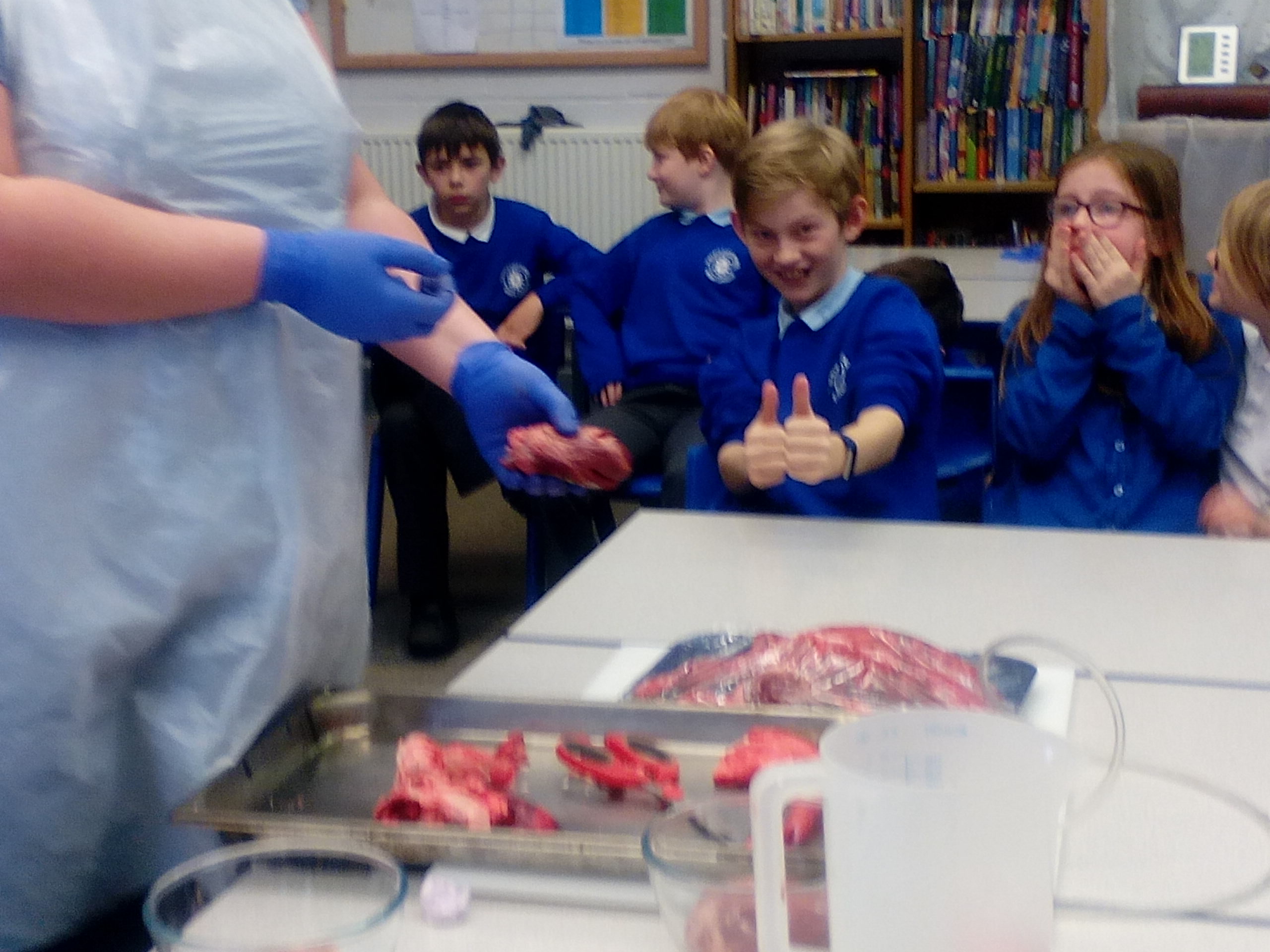 Dissecting organs - St Mary's Church of England School St Mary's Church ...